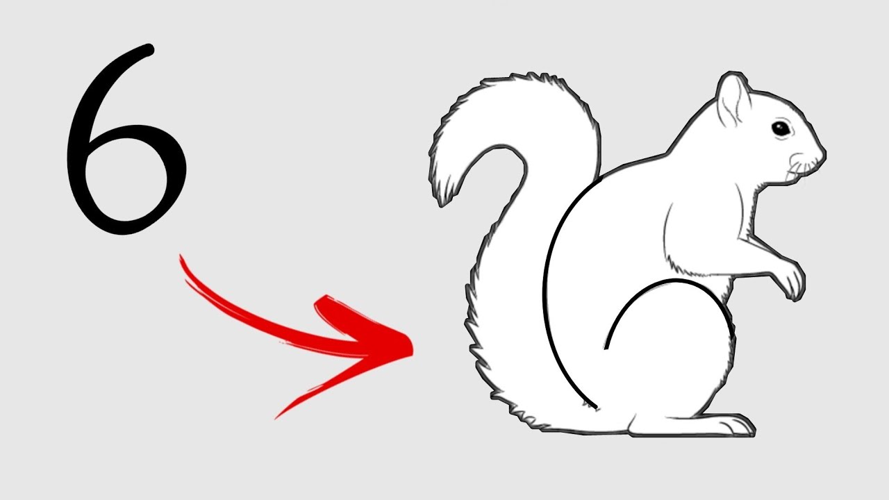 How to draw squirrel drawing from 6 number easy step by step ...