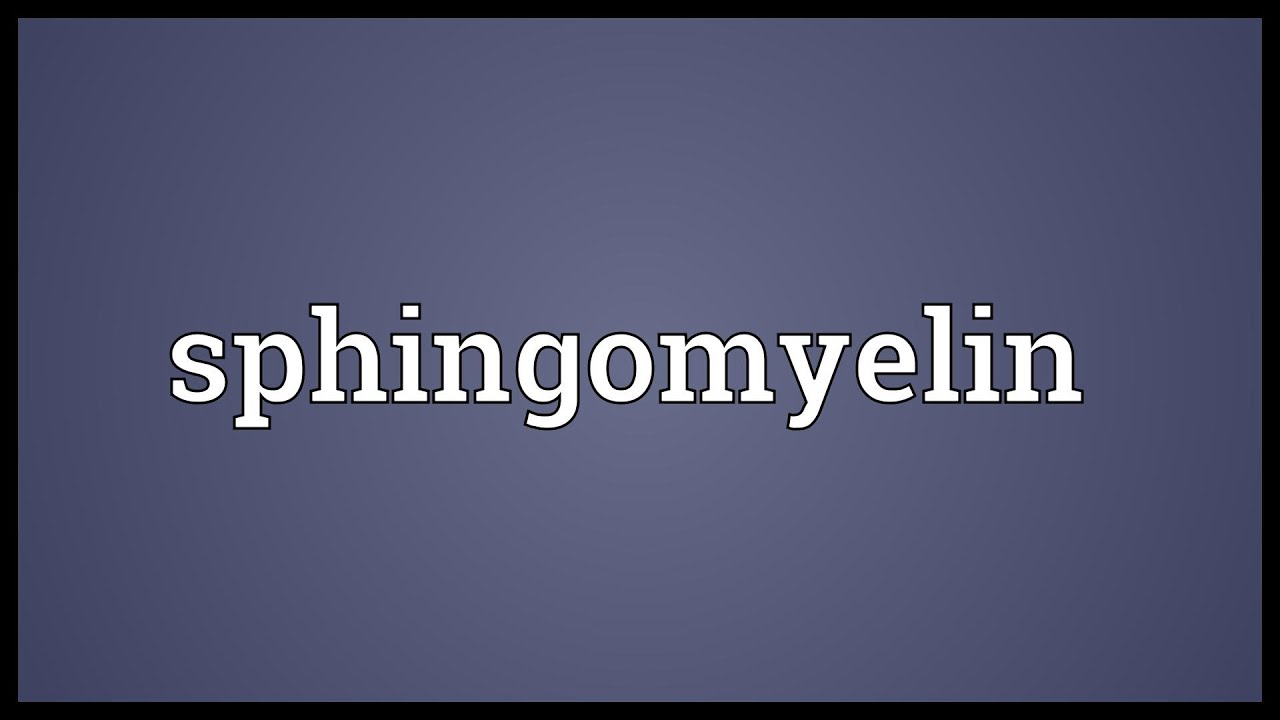 Sphingomyelin Meaning - YouTube