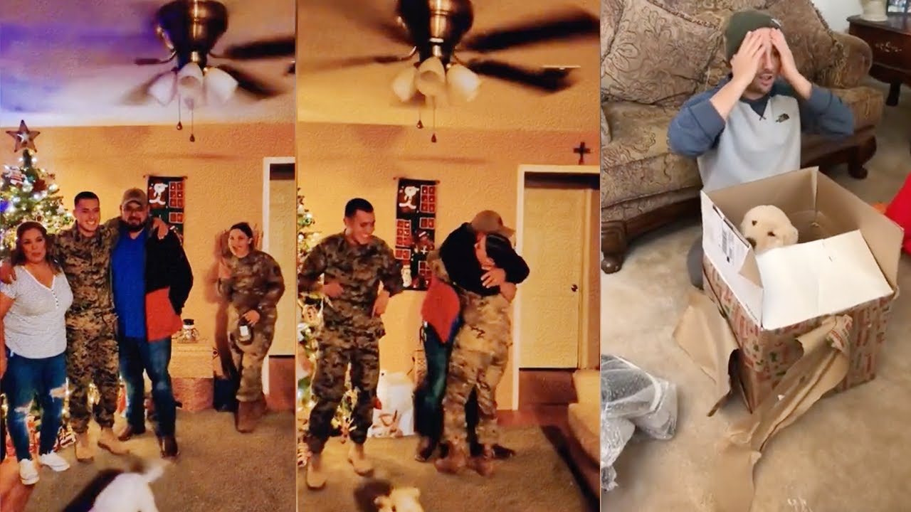 Touching Christmas Surprise Makes You Crying | Puppy Christmas Surprise ...