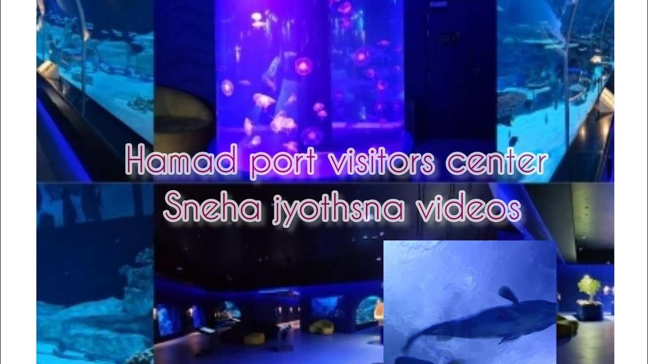 Visiting Hamad Port Visitors Center {aquarium} 🐬🐠⛲ in #qatar# #sneha ...