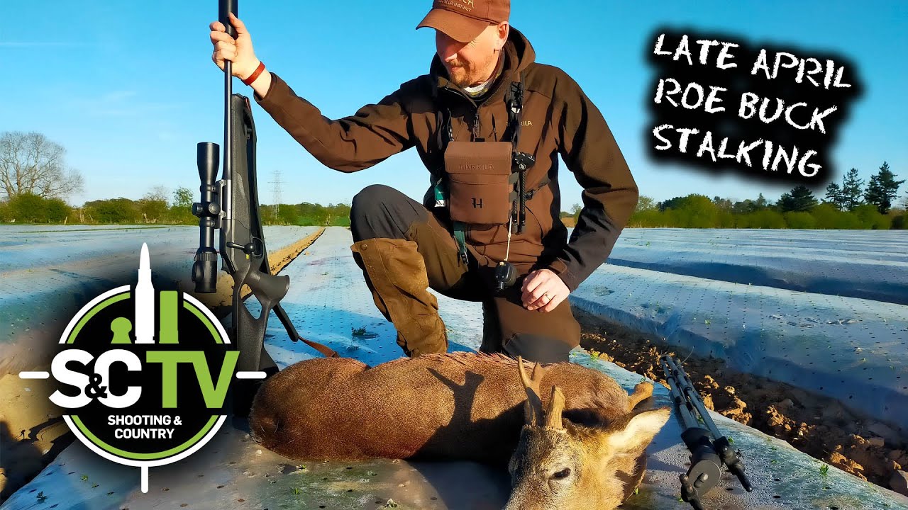 S&C TV | Deer management with Chris Rogers 10 | Roe buck stalking (late April) - YouTube