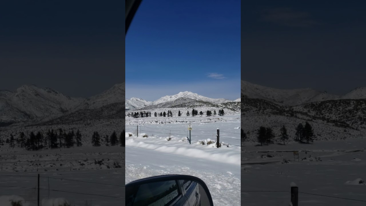 December 22, 2019 - YouTube