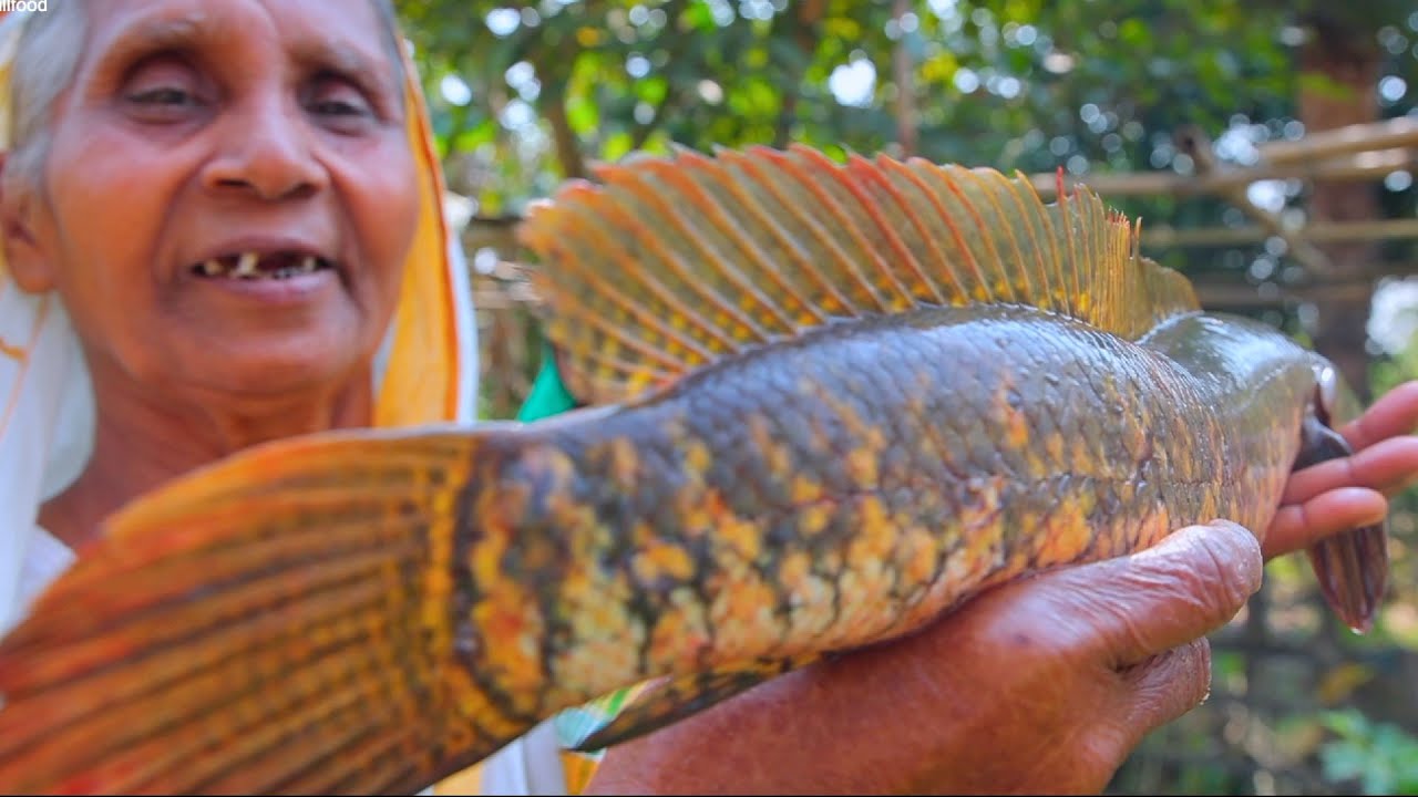 শোল মাছের সব থেকে সেরা রেসিপি | unique recipe of shol fish | Tasty fish ...