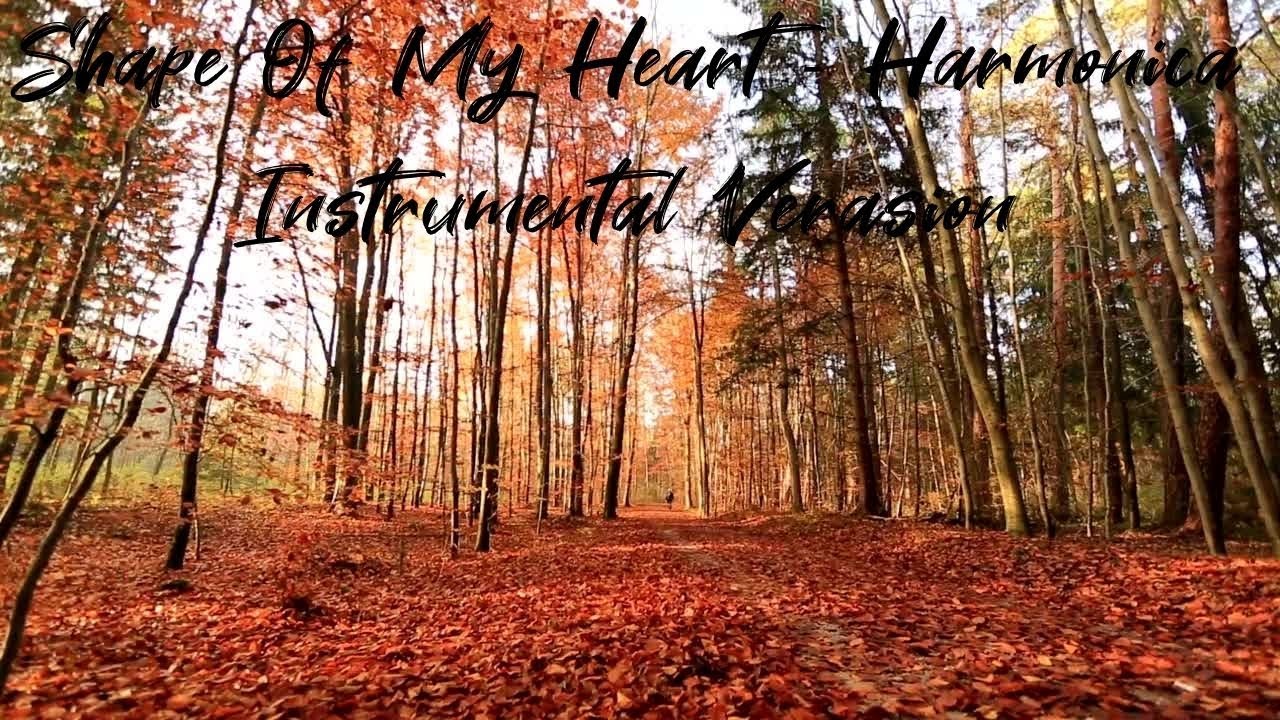 Shape of my Heart - Harmonica Instrumental Version - YouTube