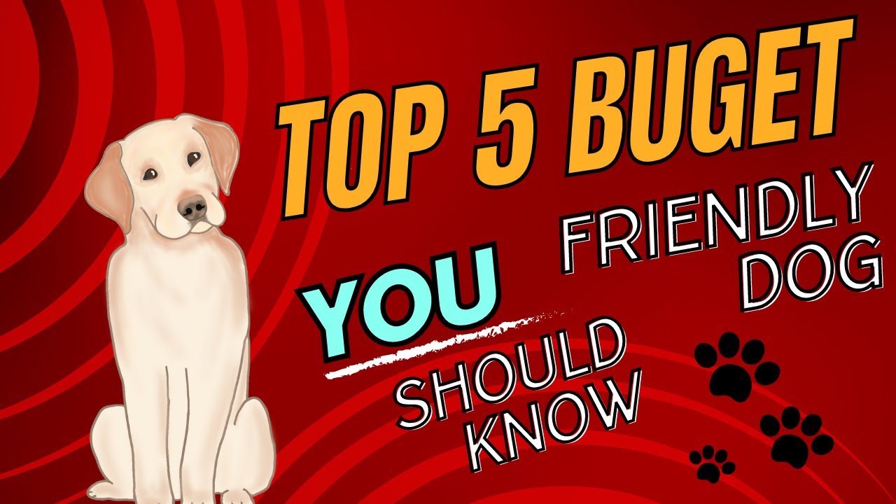 Top 5 Budget Friendly Dog Breeds Which Are Not Expensive - YouTube