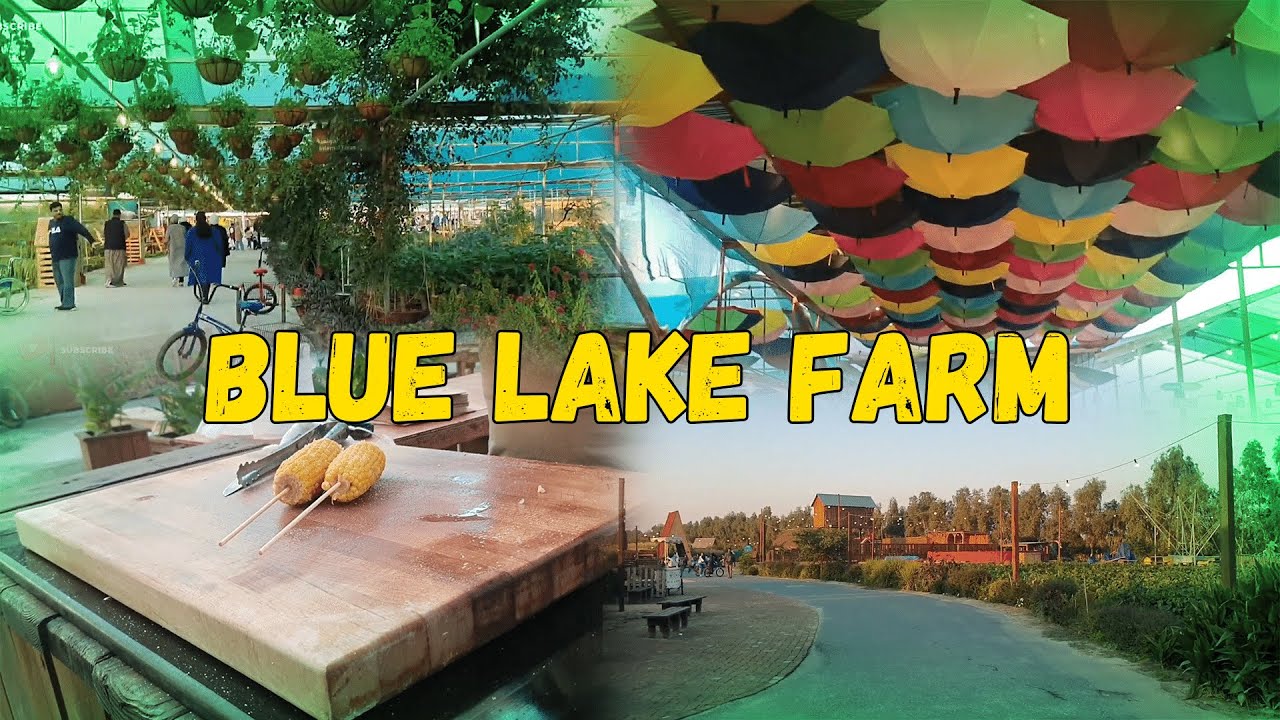 A day well spend at Kuwait largest farms | Blue lake farm | @albohayra ...