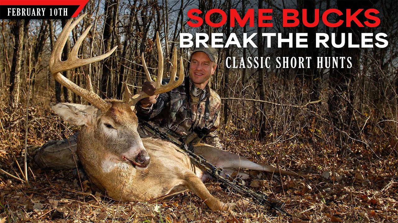 Classic Shorts: Sometimes They Break the Rules | Bowhunting Whitetails ...