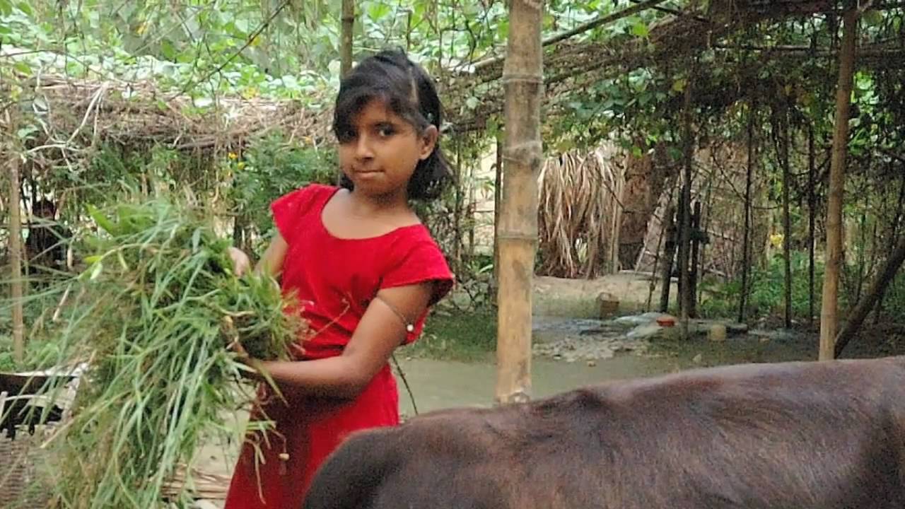 Landesa and the Power of Land Rights - YouTube