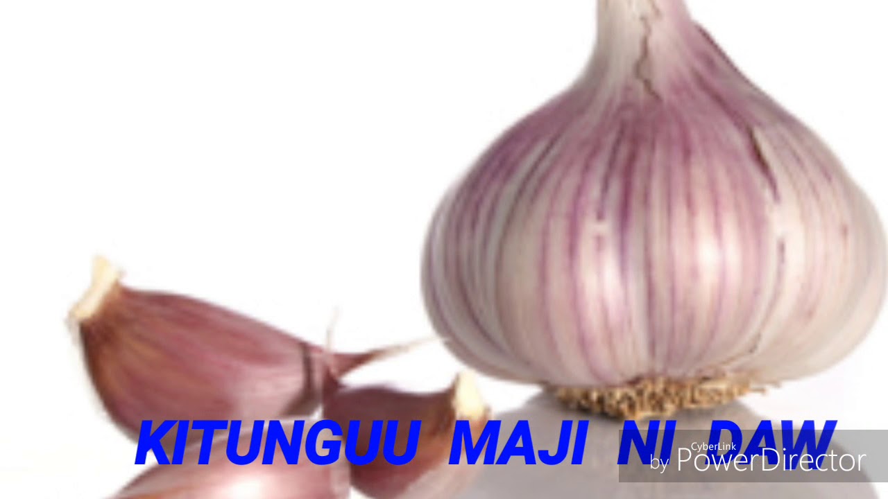 Kitunguu swaumu ni dawa - YouTube
