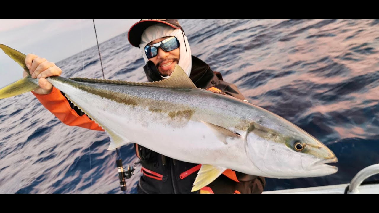 Jigging For Yellowtail Kingfish Hot Bite Youtube