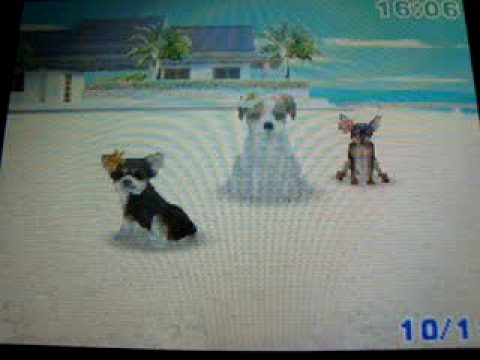 Nintendogs-Singing to the Nintendogs Record - YouTube