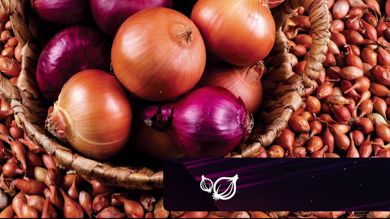 Tata Steel Nest-In | AgroNest | Smart Onion Warehouse - YouTube