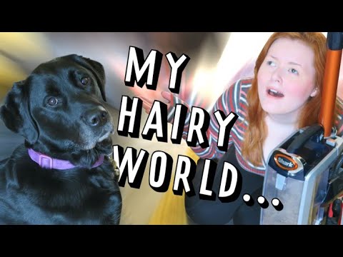 Watch What Guide Dog Olga Does When I vacuum...| Lucy Edwards - YouTube