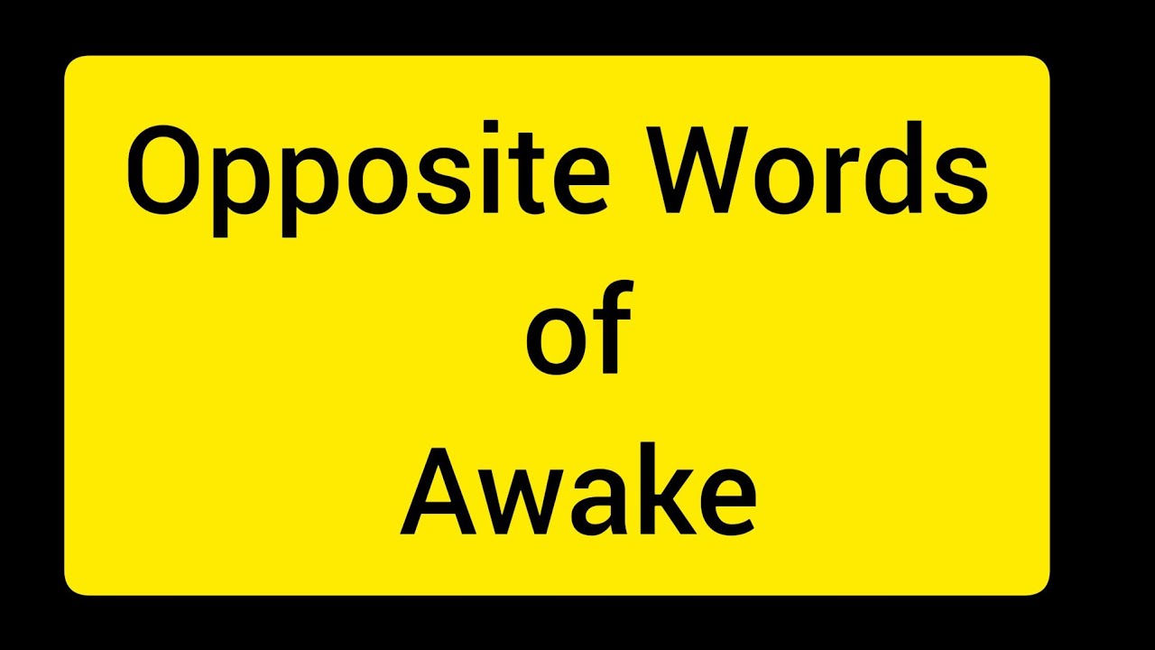 Opposite Words Of Awake Antonyms Of Awake Awake Ka Opposite Word In Opposite Words Of Awake Antonyms Of Awake Awake Ka Opposite Word In