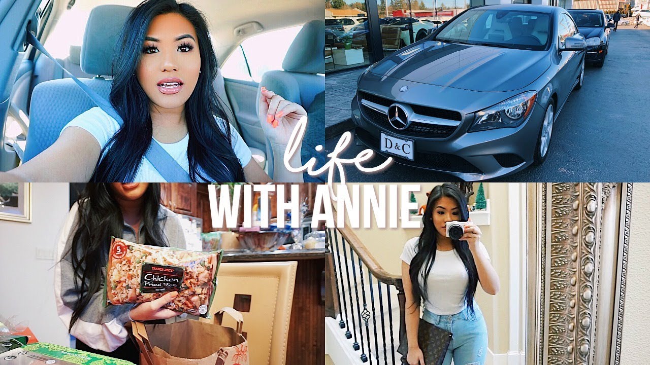 LIFE WITH ANNIE VLOG | GETTING A NEW CAR | TRADER JOES HAUL | Annie ...