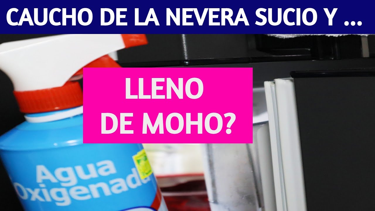 EL CAUCHO DE LA NEVERA ESTÁ LLENO DE MOHO? | EL AGUA OXIGENADA LO ...