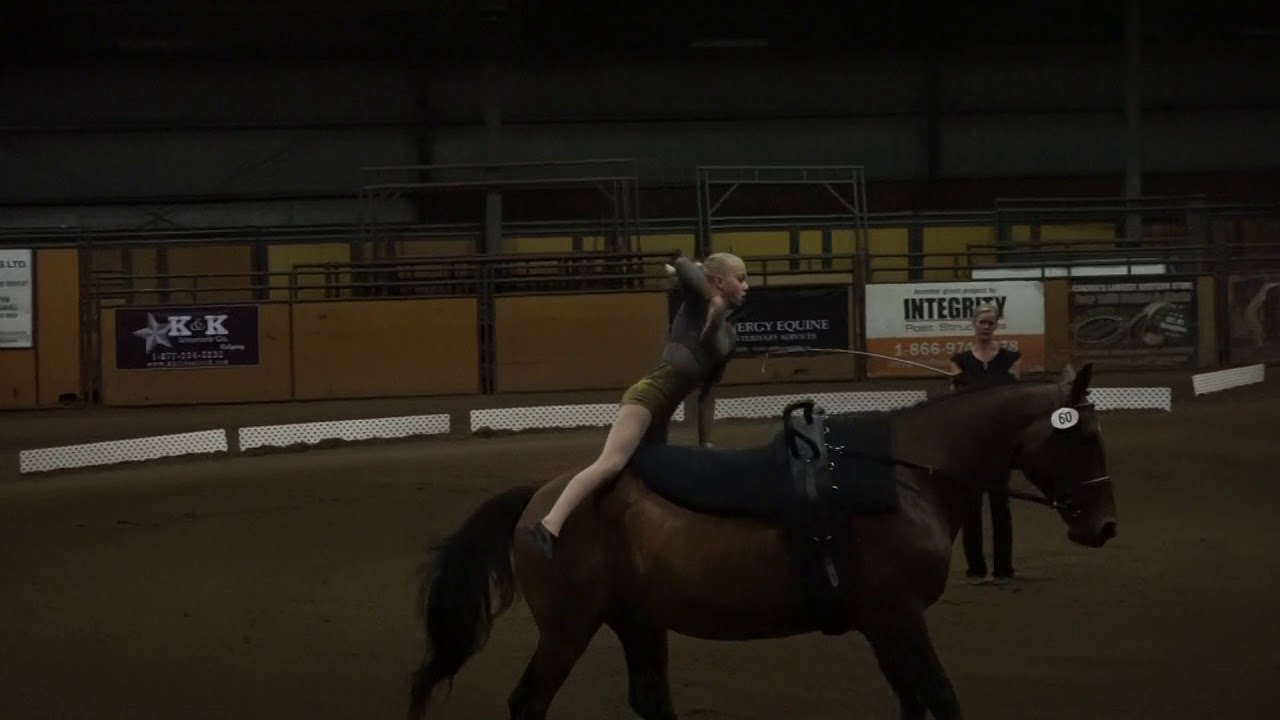 Meadow Creek Averill Saunders Jr Canter A Freestyle R2 2018 AEVA ...