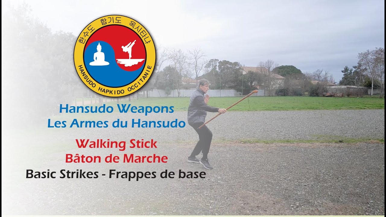 Walking Stick - Bâton de Marche - Basic Strikes - Frappes de base - YouTube