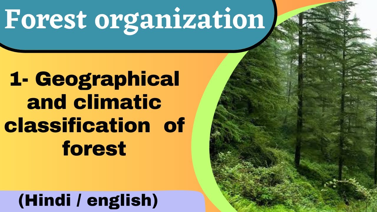 Sub - division of forest || major groups of forest in India|| forest ...