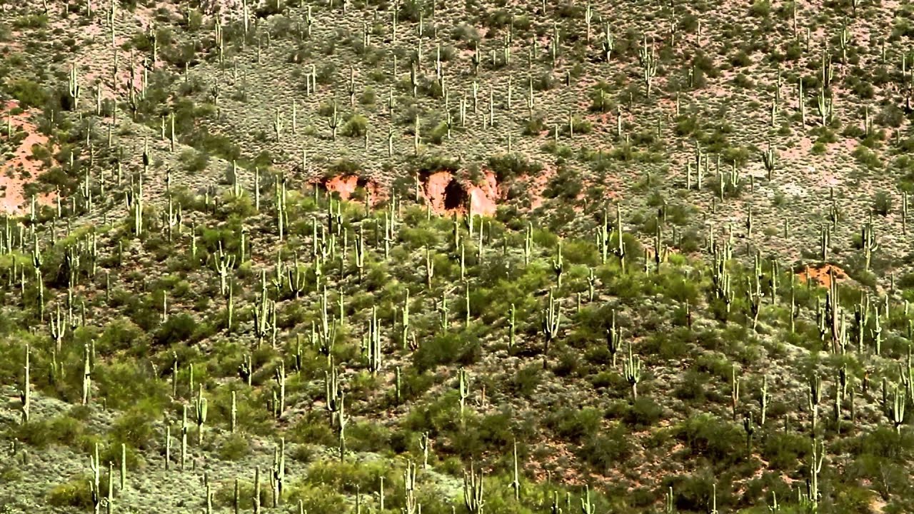 Spur Cross Stables - YouTube