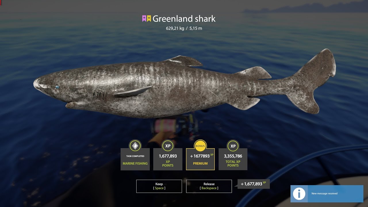Norwegian Sea spot, Trophy Greenland Shark - #74 - Russian Fishing 4 ...