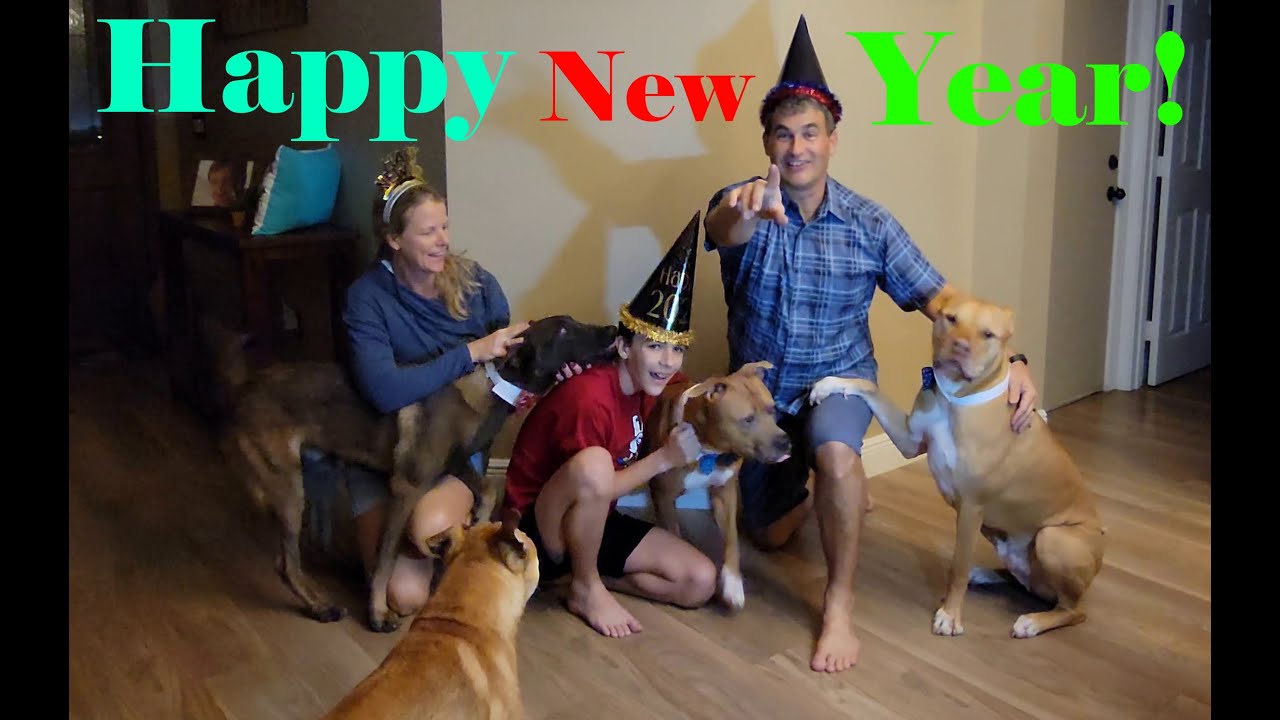 New Years Eve Fireworks Show & Among Us Special! - YouTube