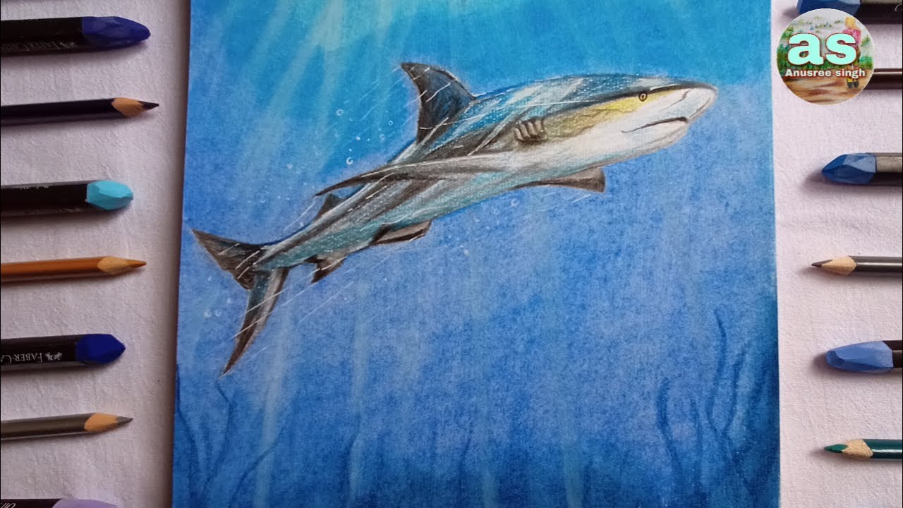 Drawing shark. How to draw a shark with colour pencils and oil pastels ...