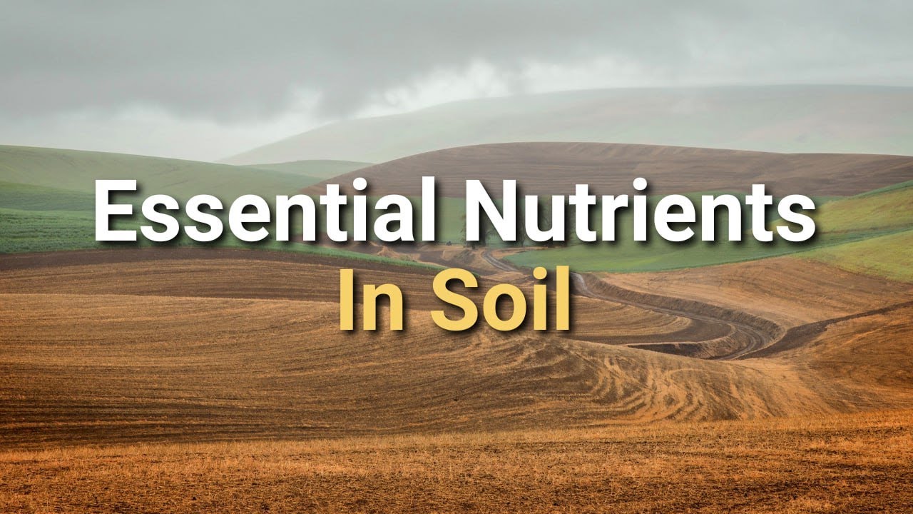 Understanding Essential Soil Nutrients for Agriculture - YouTube