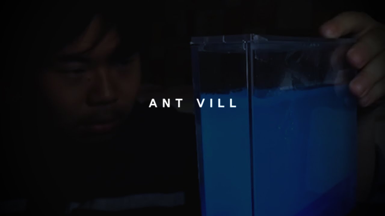 [2018] ANT VILL (앤트빌) - YouTube