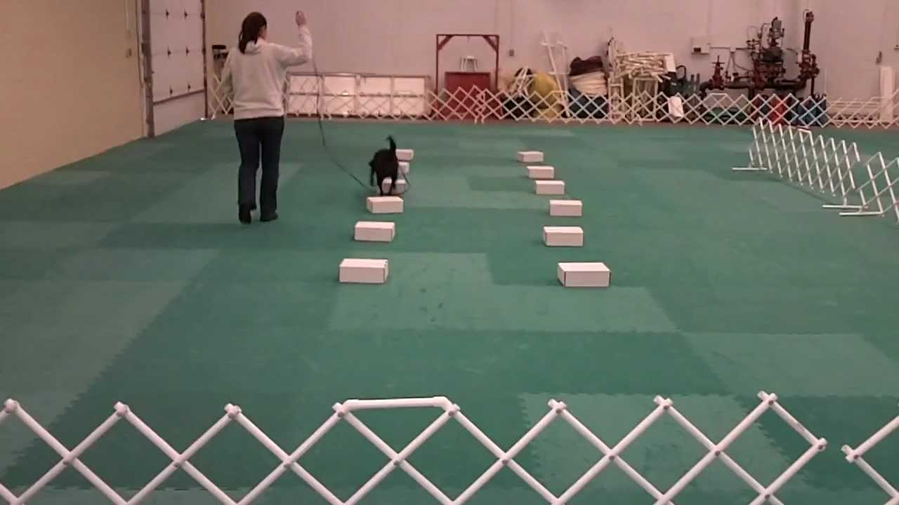 Angie 1.MOV - YouTube