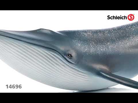 Blue Whale Figure Anima Highly Detailed & Hand Painted for Children by ...