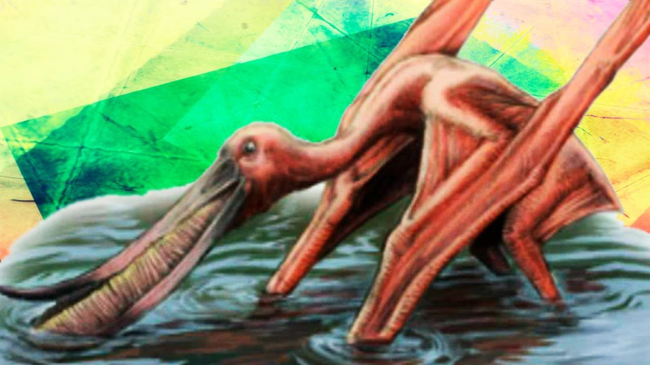 What is Pterodaustro?! - YouTube