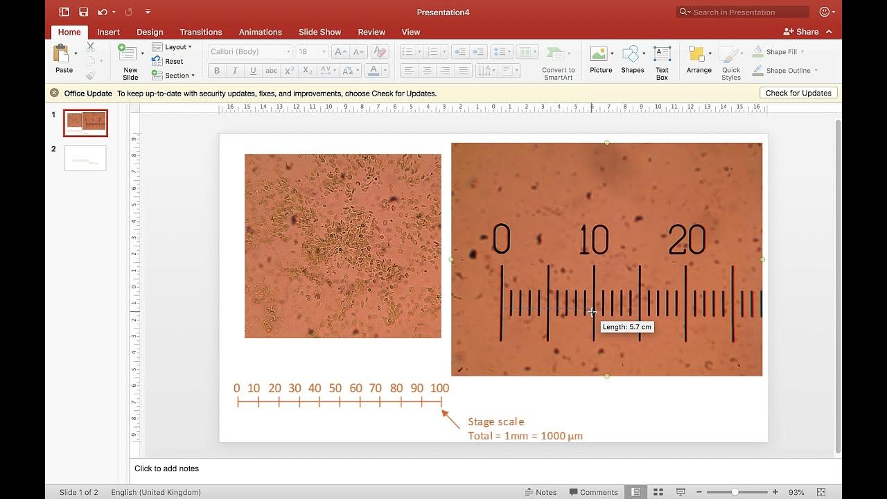 Preparing Microscopy Images with Scale Bars - YouTube