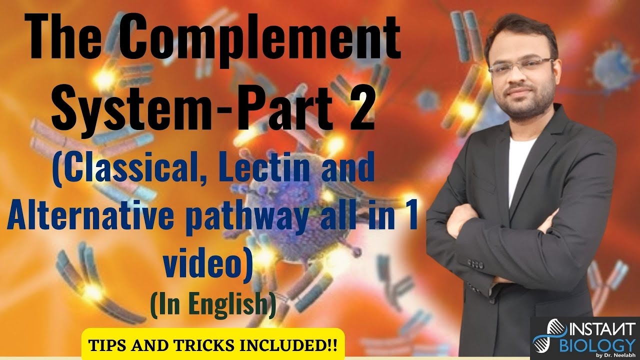 The Complement System Part 2 (In English)| All pathways in 1 Video ...