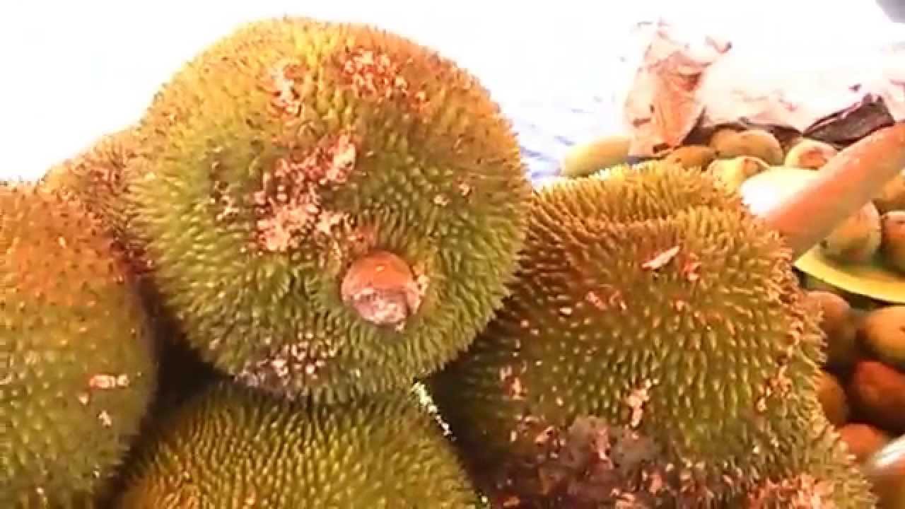 Borneo-Sarawak Fruit Highlights November 2014 - YouTube