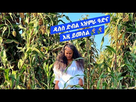 TSEHAY GAl RAYA ደስስ ድብል #ኣዝመራ #ዓድና እዚ ይመስል🌾🌾 #subscribe #like is live ...