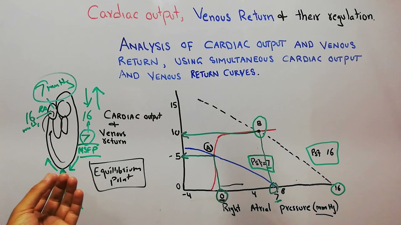 CVS 182 || Analysis of cardiac output curve and venous return curve ...