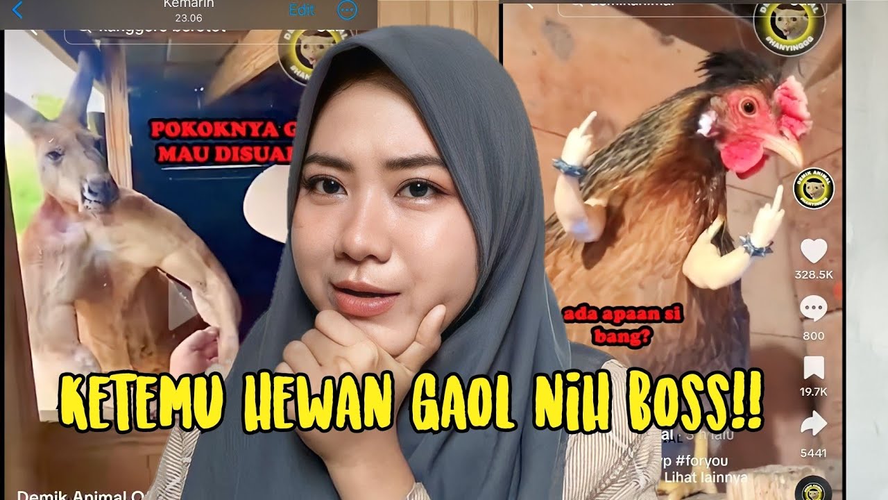 Demik animal part 2 | Ayamnya Pasang pucek - YouTube