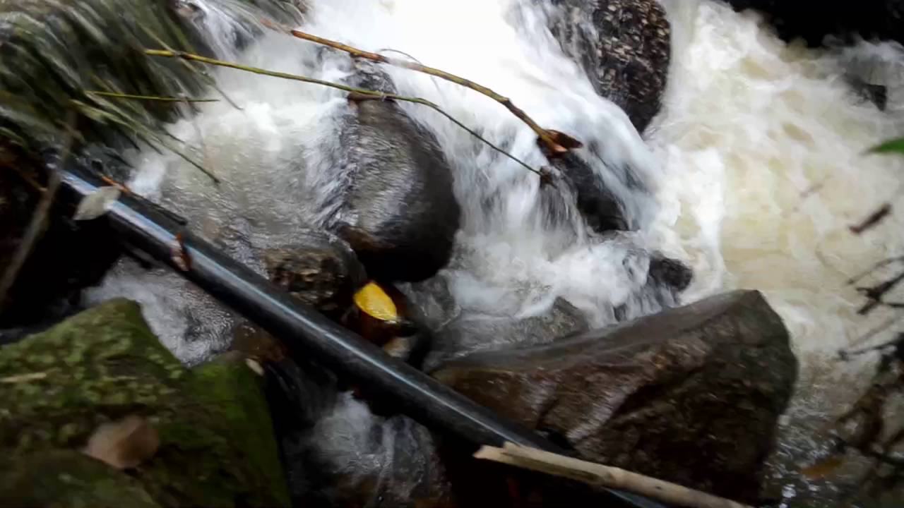 PILOT PROJECT WATER FOR LIFE SUNGAI JERNIH SELAMA PERAK csr projek ...