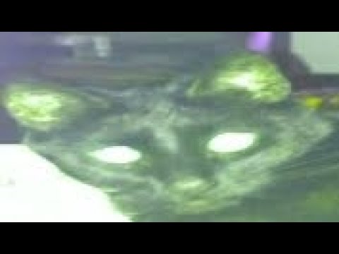 jean death - YouTube