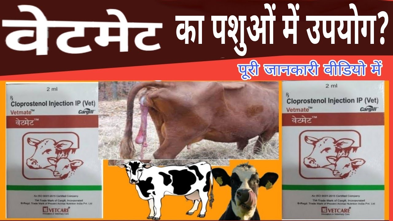 Vetmate injection वेटमेट इंजेक्शन का पशुओं में क्या उपयोग है? - YouTube
