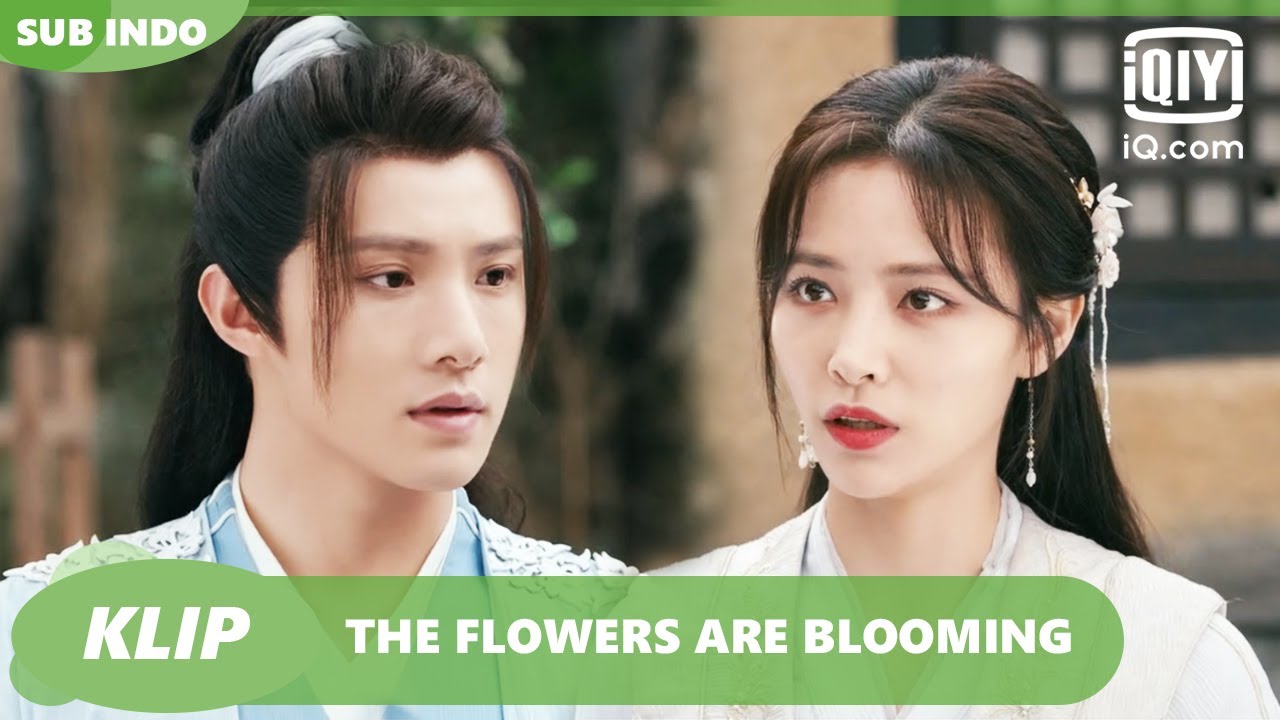 Chen Langyue marah pada Li Qingfeng [INDO SUB] | The Flowers Are Blooming Ep.2 | iQiyi Indonesia ...