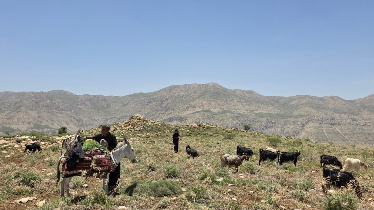 Nomadic life in the heart of the mountains | An exciting journey to ...