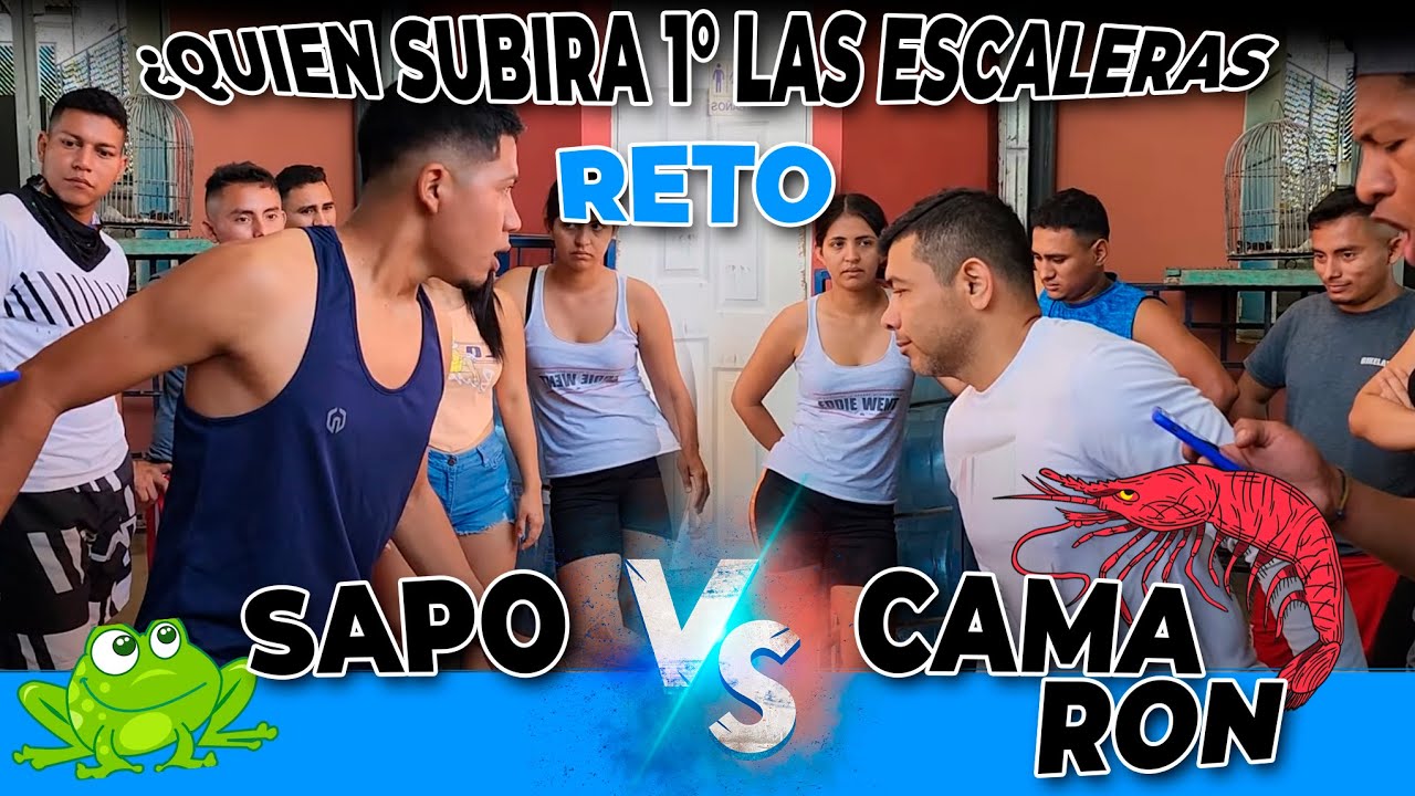 Esto se puso bueno, Sapo reta a camarón y esto apostaron. Todos le ...