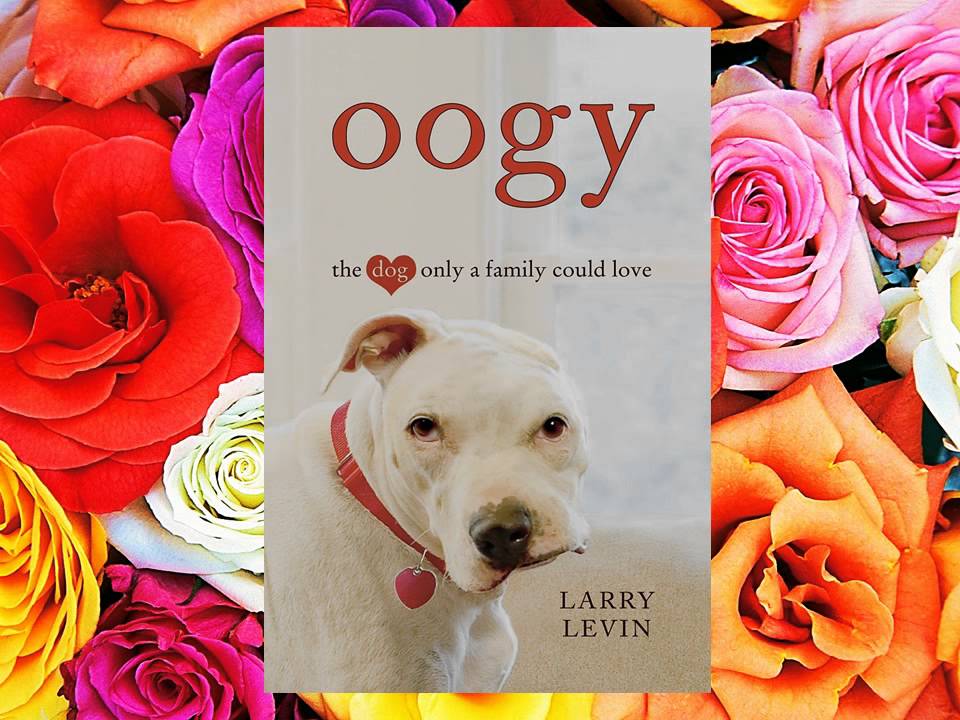Oogy by Larry Levin - YouTube