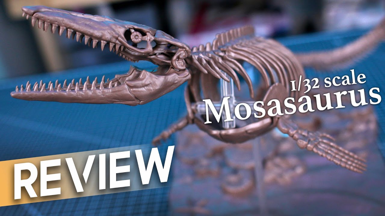 Mosasaur Skeleton 3d Print