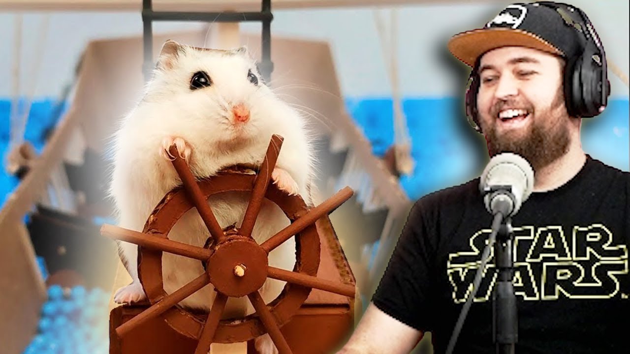 MR HAMSTER se ESCAPA DE UN BARCO 🐹 - YouTube