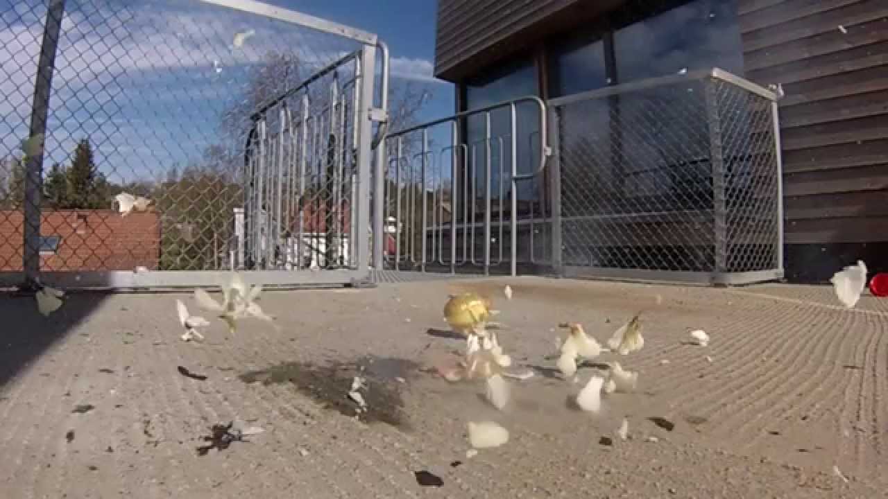 Onion bomb in super slow motion - YouTube
