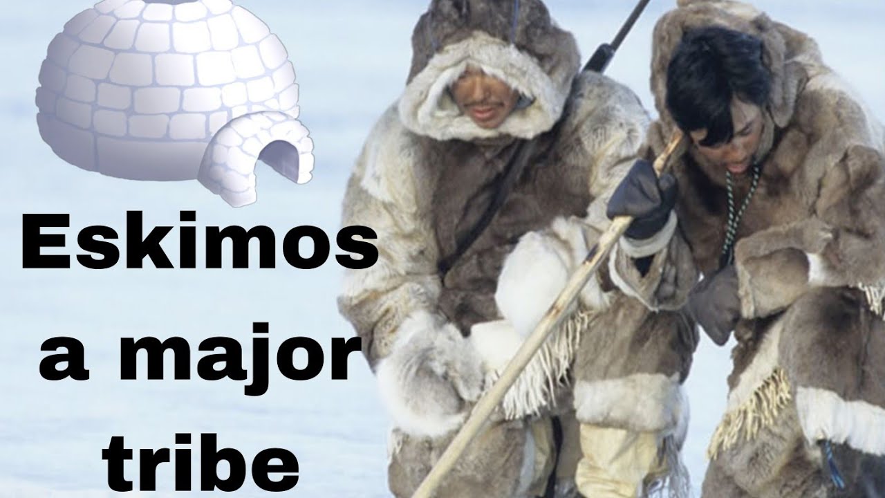 || Eskimos || one of the major tribe #tribal #inuit #lifestyle #alaska #igloo - YouTube