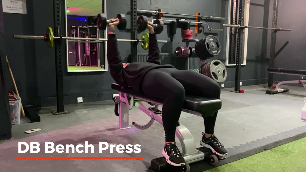 DB Bench Press - YouTube